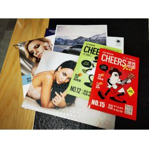 Quality Saddle Stitched Marketing Brochure Printing High Definition Environment for sale
