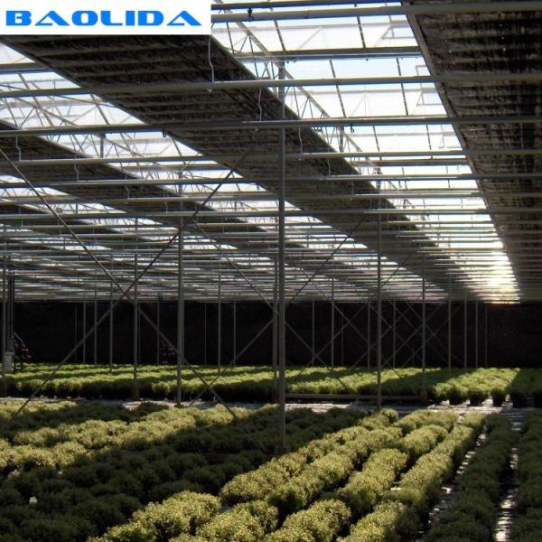 Quality Greenhouse Blackout Curtain Systems Automated Light Deprivation 8m - 12m for sale