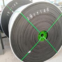 Quality OEM EP200 Chemical Resistant Special Conveyor Belts for sale