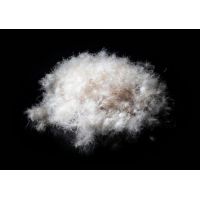 Quality 85% grey goose down FP 700+ Cleanliness 1000+ for sale