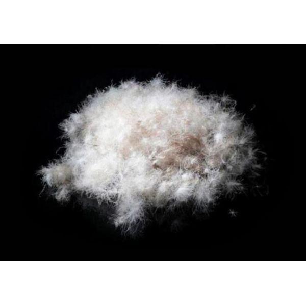 Quality 85% grey goose down FP 700+ Cleanliness 1000+ for sale