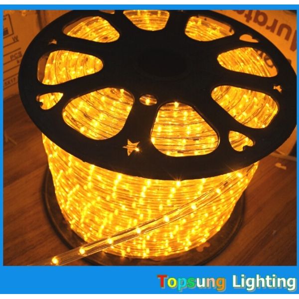Quality led light rope strips flexible 24/12V  1/2'' 2 wire for outdoor use for sale