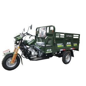 Quality Water Delivery Gasoline 200cc 3 Wheel Cargo Motorcycle for sale