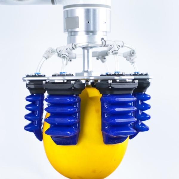 Quality Food Industry 800g Universal Soft Pneumatic Gripper for sale