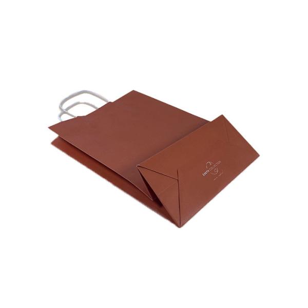 Quality CMYK 300gsm Gift Paper Shopping Bags OEM Pantone for sale