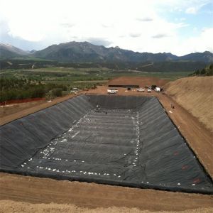Quality Fish Farming HDPE Geomembrane Liner 1mm 0.5mm 1.5mm Black White Blue Green for sale