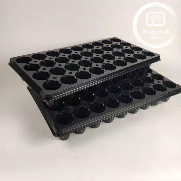 Quality 185g 36 Cell Round Honeycomb Succulent Seedling Tray Durable PE for Flower for sale