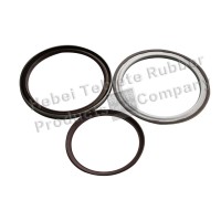 Quality 3095043 3095042 8159000 20518642 Front Wheel Oil Seal VOLVO Shanxi for sale