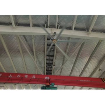 Quality 12FT Large Ceiling Fan For Warehouse Air Ventilation for sale