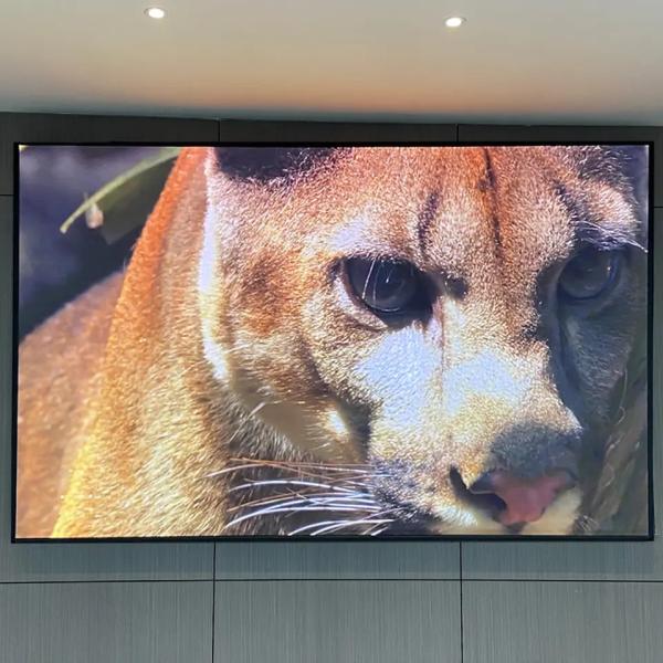 Quality P 2 led display screen for advertising wall 3840Hz for sale