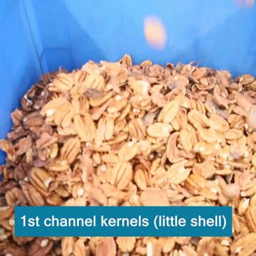 Quality 220V 100000 Pieces CE Approved Pecan Shelling Machine Up To 2T Output Each Hour for sale