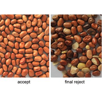 Quality Automatic Bean Color Sorter Machine Intelligent Colour Separation Machine for sale