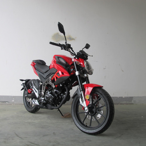 Quality TR250-U3 CDI Ignition 250CC Naked Sport Motorcycle for sale