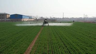 Quality Adjustable Spray Agriculture Hose Reel Irrigation System Versatile Watering for sale