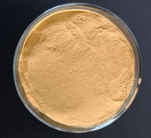 Quality Chitosan oligosaccharide supplement for body joint discomfort for sale