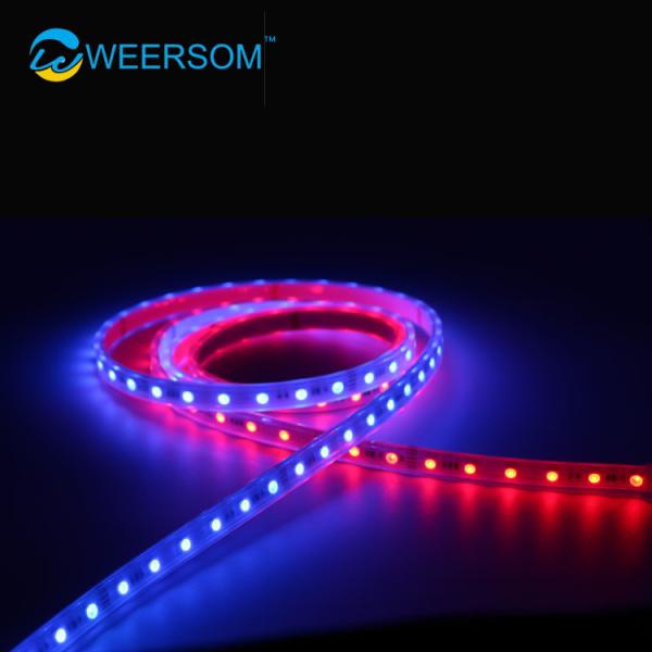 Quality Customize Digital LED Strip 5000mm Length DC5V DC12V DC24V IP68 for sale