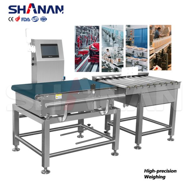 Quality Automatic Industrial Conveyor Check Weigher Check Weight Machine Weight Scale for sale