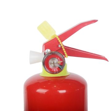 Quality SWDPN-01:1KG 20% BC Dry Powder Fire Extinguisher for All Types of Fires for sale