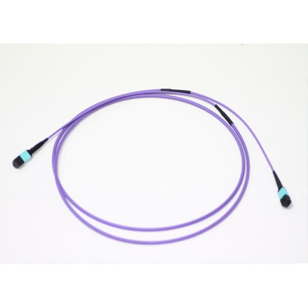 Quality 24 Cores Fiber Optic MPO MTP Cable Multimode OM4 OFNP Violet 100ft Length for sale