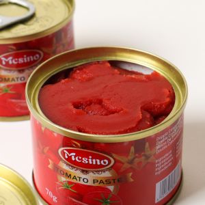 Quality Hot Sale Professional Factory Ketchup Tomato Paste in Canned Form for sale
