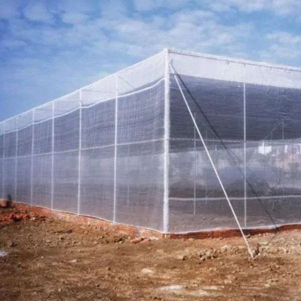 Quality HDPE 5000S Agriculture Insect Net 50m 100m UV Resistant for sale