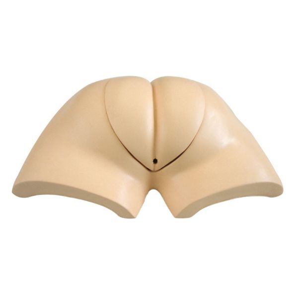 Quality Wearable Nursing Manikin Artificial Defection Simulator Made by Imported PVC for sale