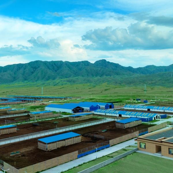 Quality Light Steel Frame Open Bays Sheds for Construction Sites for sale