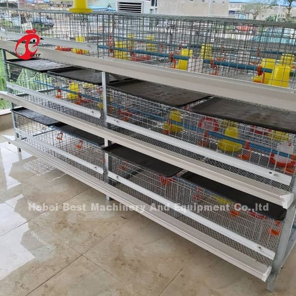 Quality Save Space Poultry Broiler Chicken Cage Low Carbon Steel Wire In Africa  Adela for sale