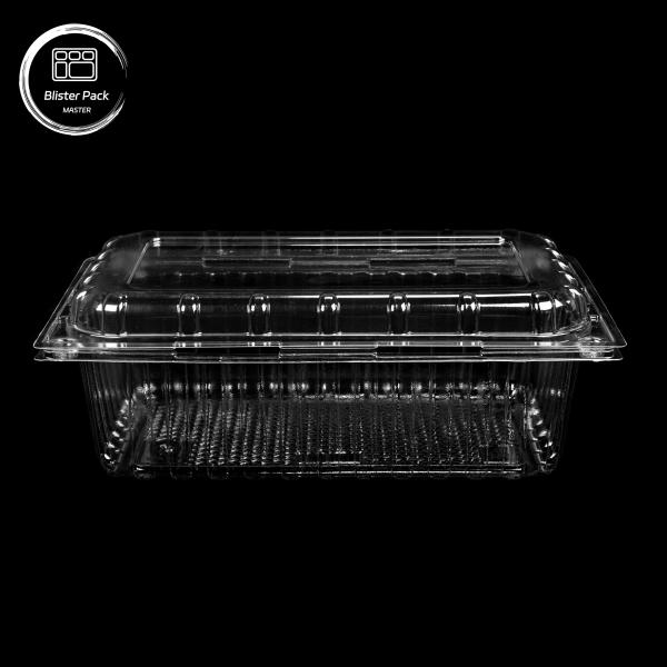 Quality Transparent PET Clamshell Fruit Containers Disposable Plastic Boxes with Lids for sale