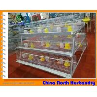 China Poultry Cage Manufacturers in India, Poultry Cage Suppliers, Indian factory