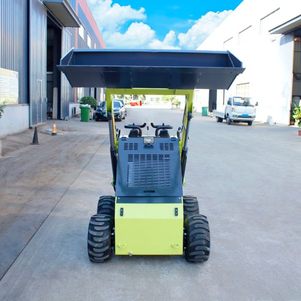 Quality Multifunction Agricultural Small Compact Gasoline Wheel Skid Steer Loader Mini for sale