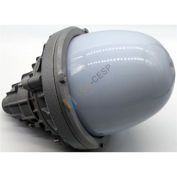 Quality CREE Chip 220V 60Hz 30W Explosion Proof Led Flood Light for sale