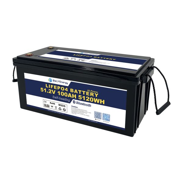 Quality 48V LiFePO4 Battery Pack - 5120Wh, 100A Discharge, IP65 Enclosure for sale