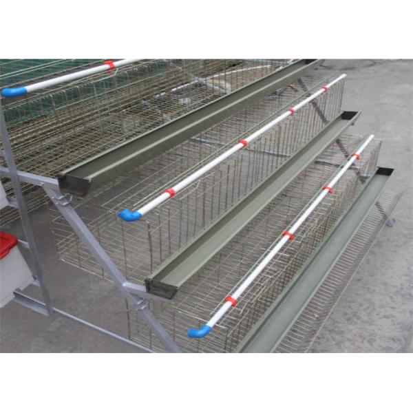 Quality ISO9001 Laminated Layer Chicken Cage For Hen for sale