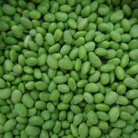 Quality IQF Frozen Soybeans Vegetables Peeled Soybean Frozen Edamame No Pods for sale