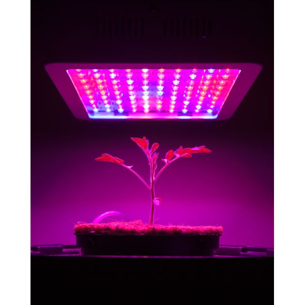 Quality High PPE PCB Module Assembly 50W Horticulture SMD Bridgelux for sale