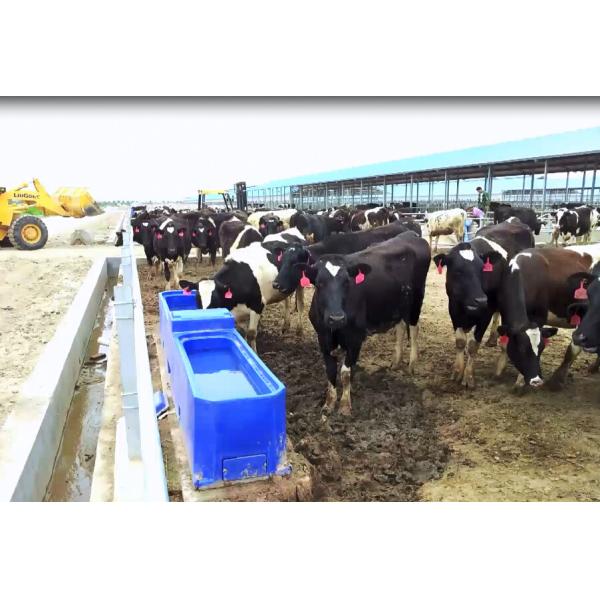 Quality Freeze Proof plastic L13ft 300L Livestock Water Tank for sale