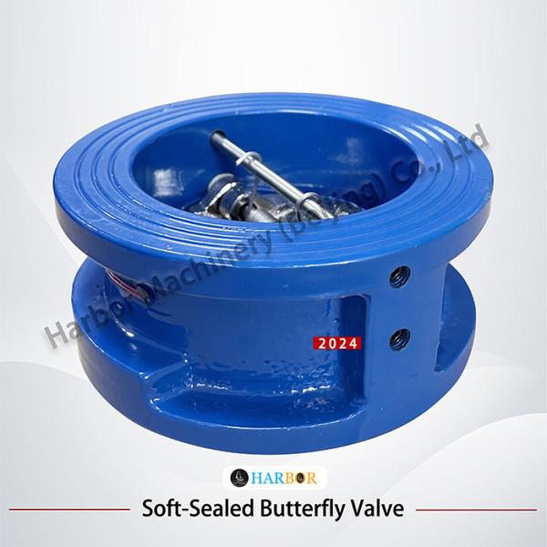 Quality Direct Supply from DH77X-10 Wafer Connection Check Valve with Cast Iron for sale