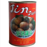 Quality Fresh Natural Raw Material Canned Fruits Vegetables 425g Farm Mushroom for sale