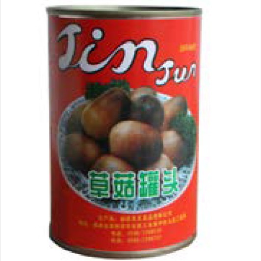 Quality Fresh Natural Raw Material Canned Fruits Vegetables 425g Farm Mushroom for sale