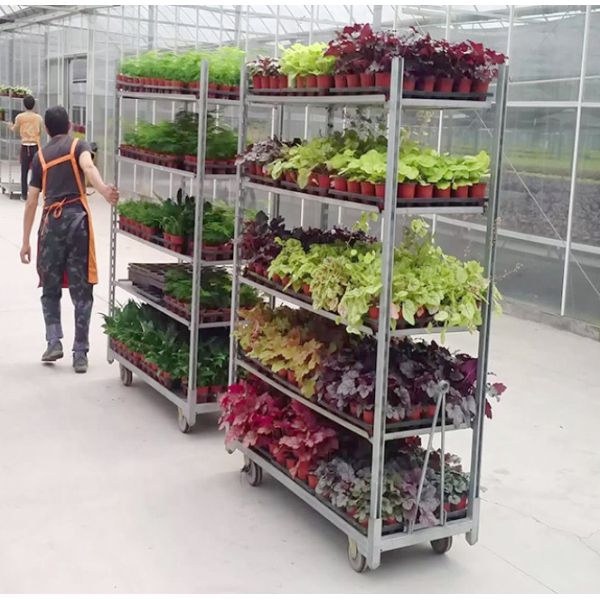 Quality Heavy Duty Dutch Trolley Shelves for sale