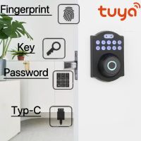 Quality Aluminum Alloy Residential Electronic Lock Fingerprint Smart Lock Tuya App for sale