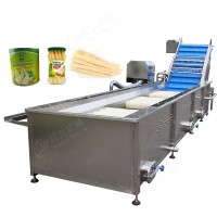 Quality Asparagus Cutting Washing Processing Line / Broccoli Production Machine / for sale