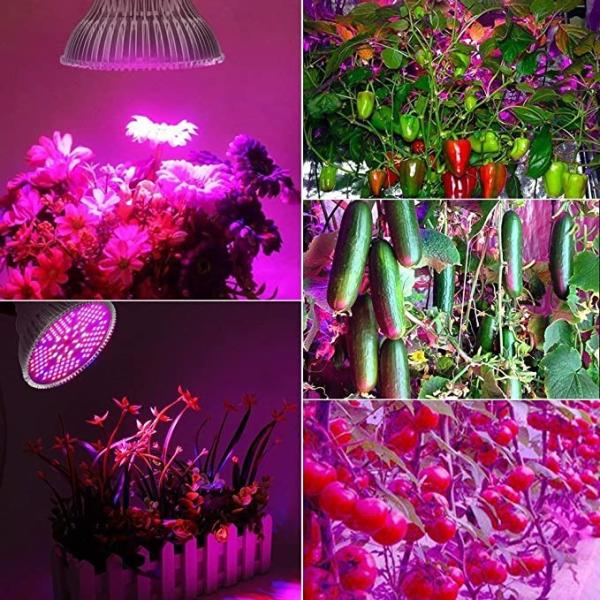 Quality E27 100w Led Grow Light Full Spectrum Lamp Bulb For Veg Flower for sale