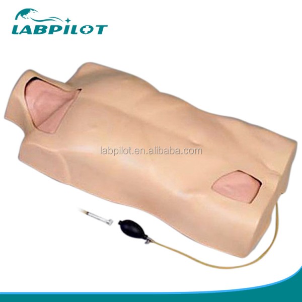 Quality Multiple Veins Puncture Training Simulator Central Venous Catheterization Torso for sale