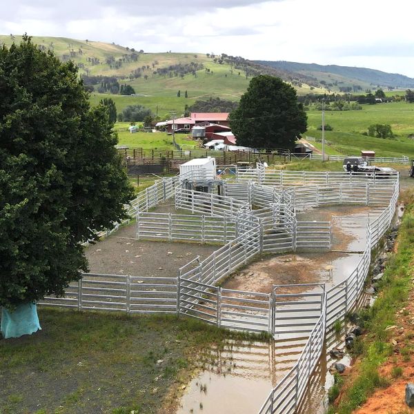 Quality Hot Dipped Galvanized Farm Fencing Resists Corrosion Cattle Panel for sale