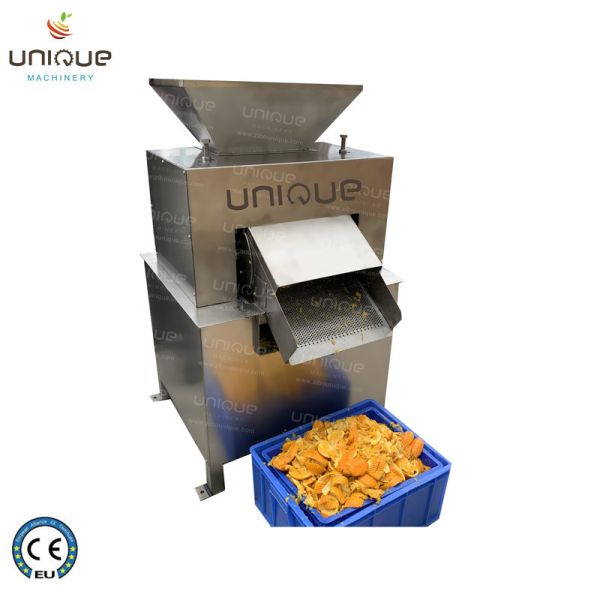 Quality Automatic Stainless Steel 304 Electric Fruit Extractor for Pineapple Tomato for sale