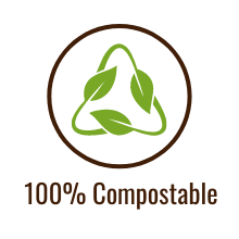 bagasse plates