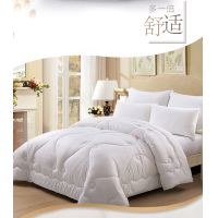 Quality Comforter (90gsm microfiber white,filling is 300gsm poly.knife edge.single for sale