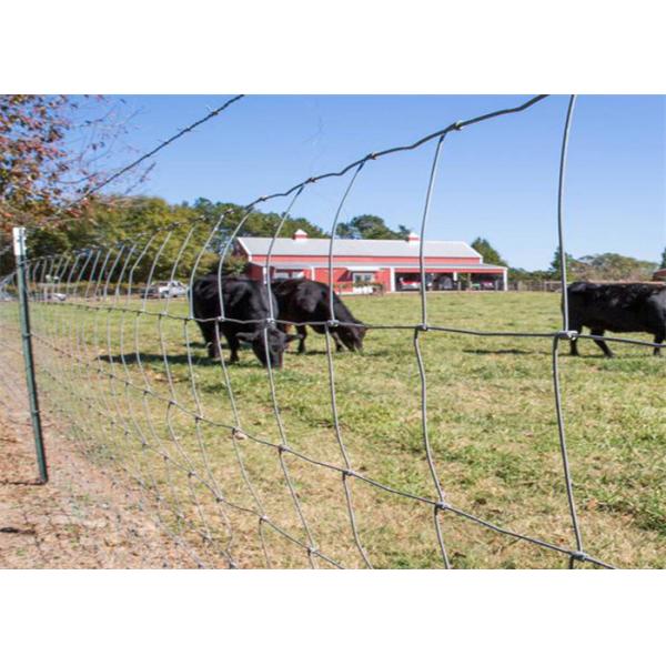 Quality 5 Ft Field Fence 330 Ft Raise Cattle On Farms And Grasslands Serve As Barrier for sale